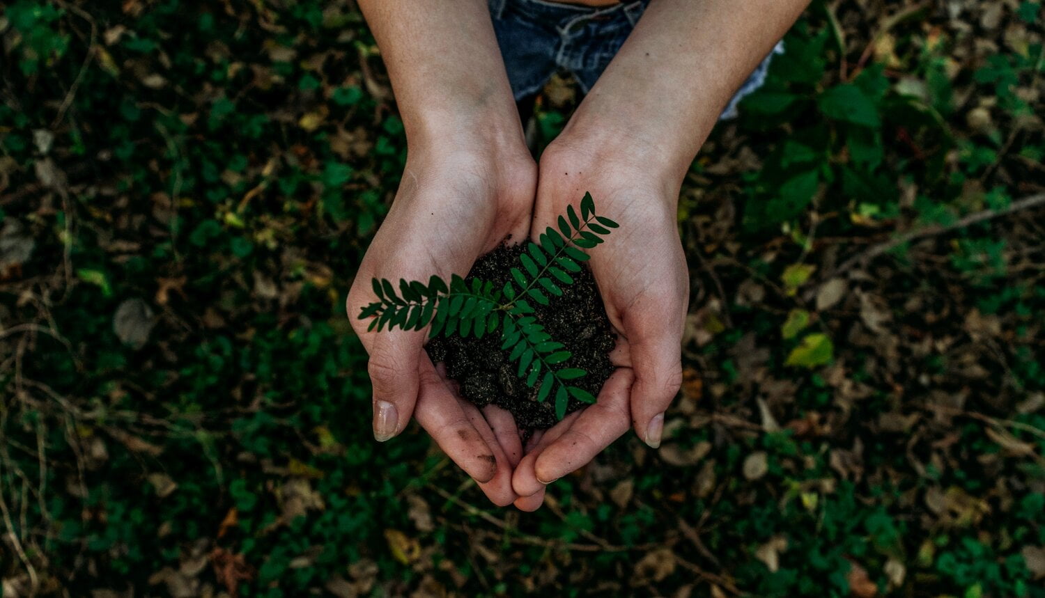 Reducing Waste with the UniGreenScheme | Siso Software